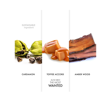 Azzaro The Most Wanted Eau De Parfum Intense Notes Discount ...