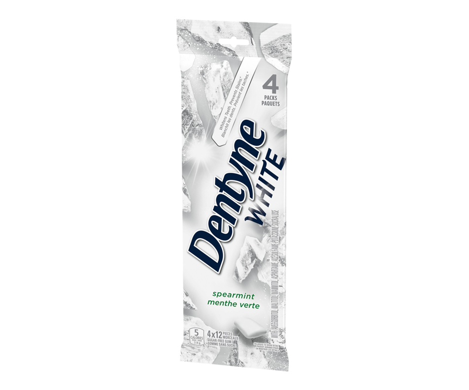 Dentyne Sugar-Free Gum, 4x12 units, Spearmint – Dentyne : Regular ...