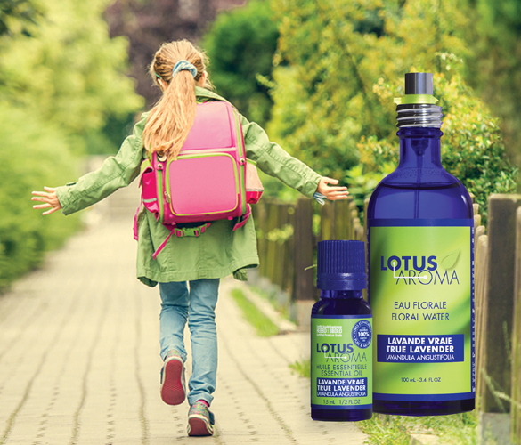 Lotus Aroma | Jean Coutu