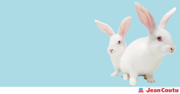 Pour en finir avec les yeux rouges! | Jean Coutu