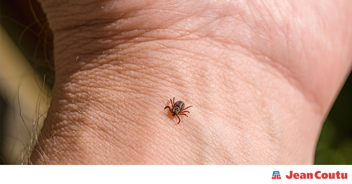 Maladie de Lyme : la tique, un insecte qui infecte | Jean Coutu